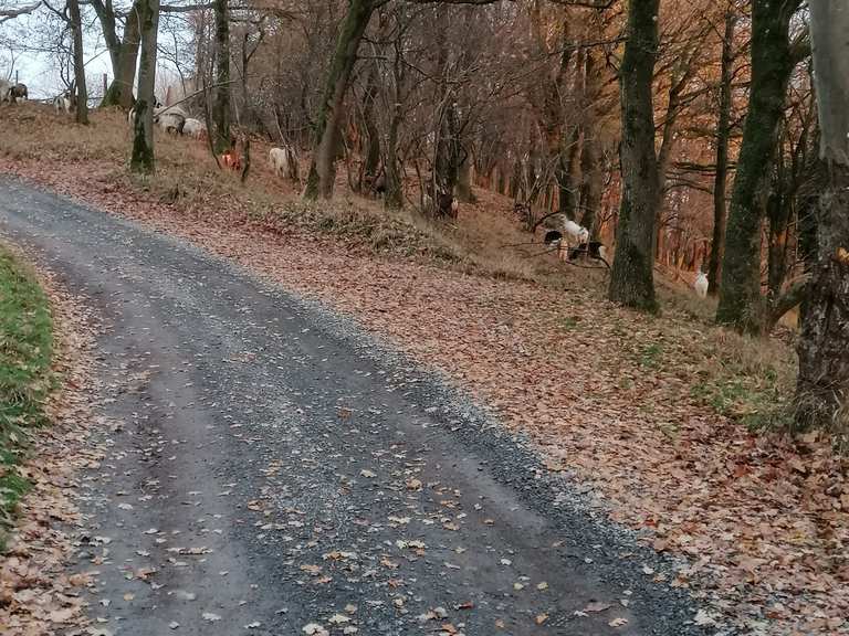 Chemin rocheux avec vue - Itinéraires de rando et marche | Komoot