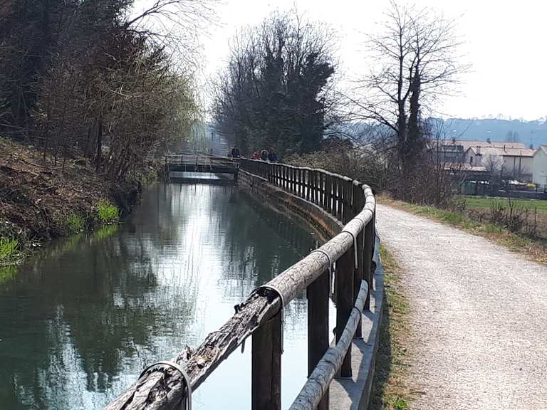 Stradone del Bosco: percorsi e itinerari MTB | Komoot