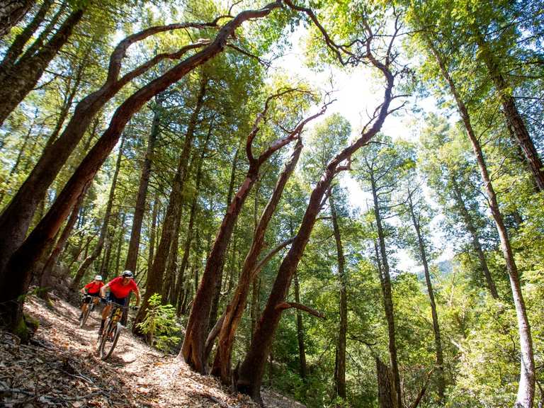 Paradise Royale Loop – Paradise Royale Trail System | mountain bike ...