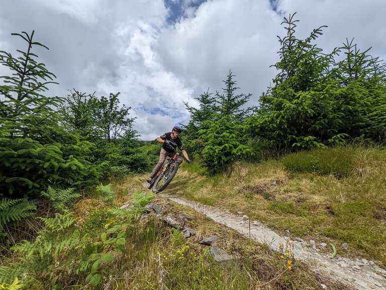 Wales' best kept secret trail centre — Penmachno MTB trails | Mountain ...
