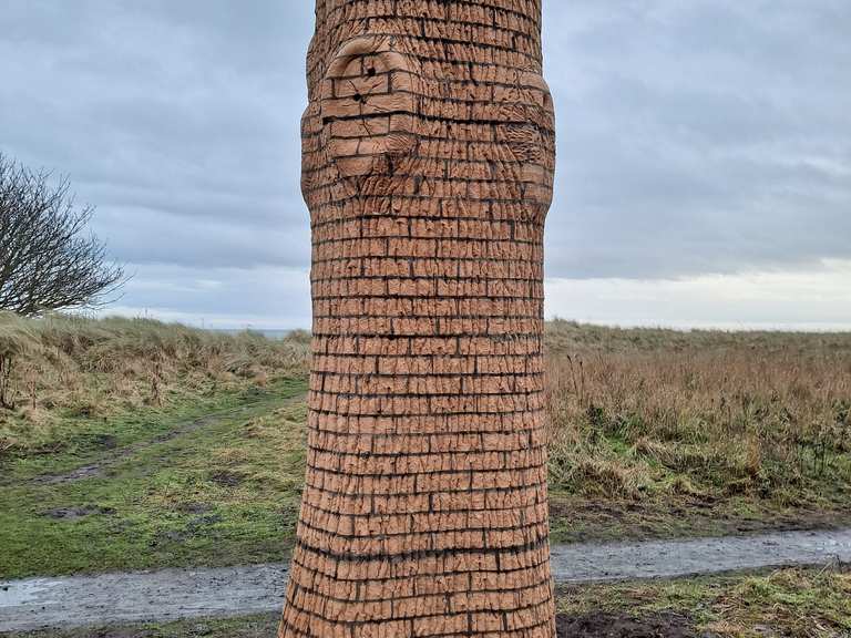 "Brick Tree" sculpture by Rodney Harris - Itinéraires de rando et ...