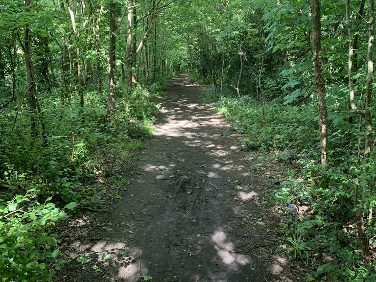 Richmond Park & Putney Heath loop from Barnes – The Tamsin Trail | mountain bike ride | Komoot