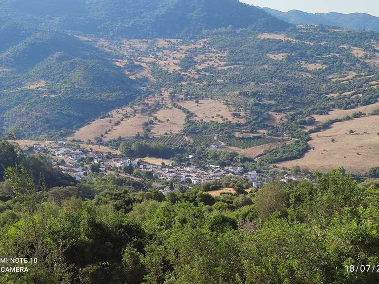 Parque Natural de Los Alcornocales – circular desde El Colmenar de ...