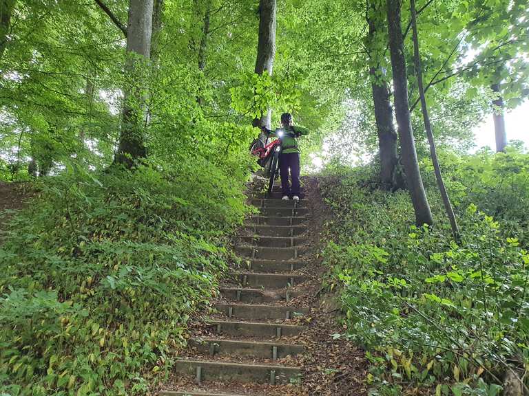 Wurzel und Steiniger Trail: Mountainbike-Touren | komoot