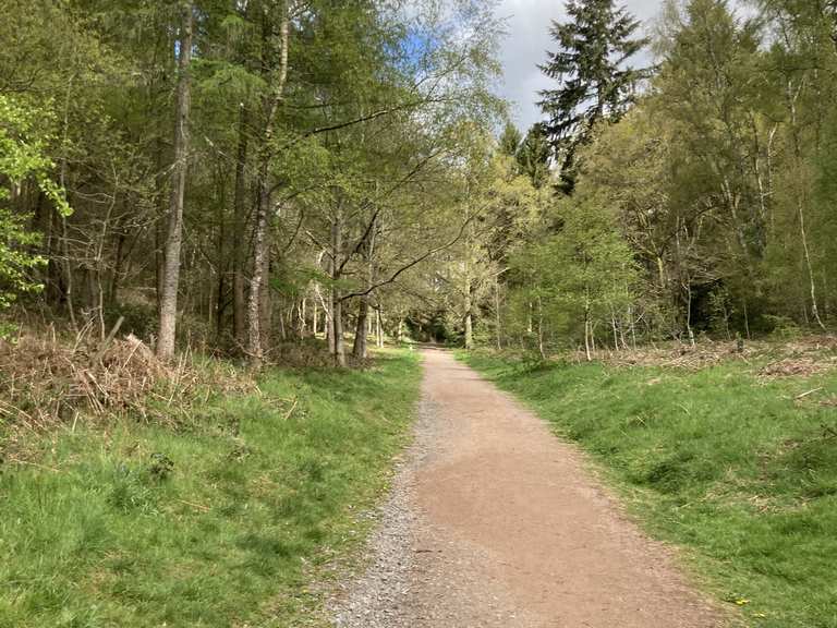 Comer Wood - Routes and Map | Komoot