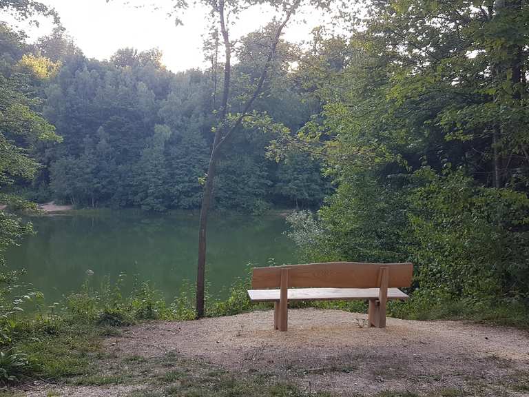 Steg im Herrenbachstausee : Radtouren und Radwege | komoot