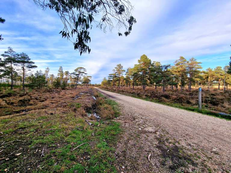 The Sika Trail loop from Wareham | bike Tour | Komoot