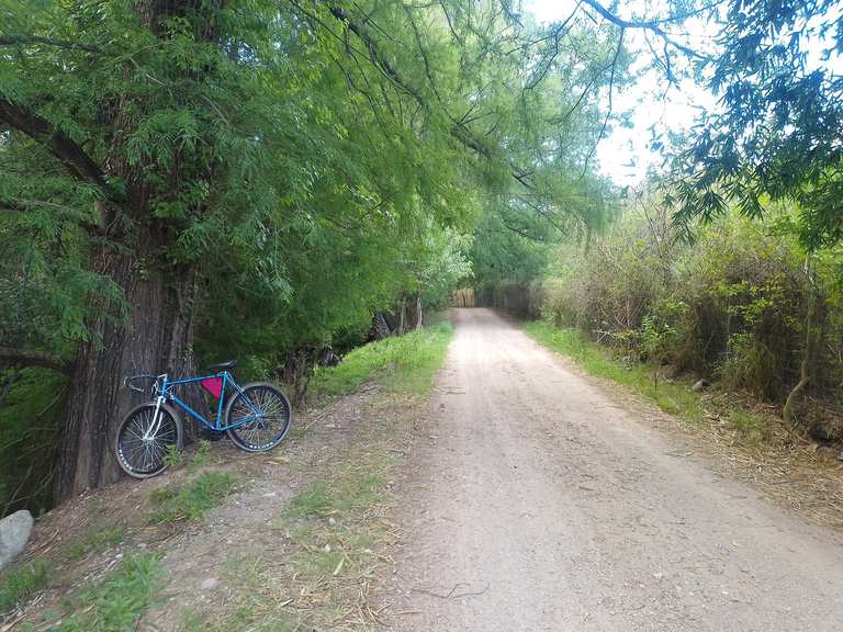 Bosque de Galería / San Marcos Arteaga : Radtouren und Radwege | komoot