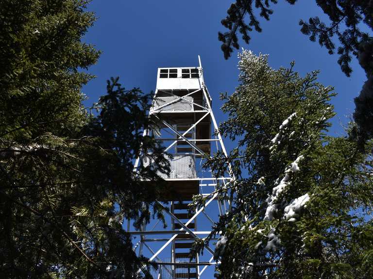Mount Adams Fire Tower: Wanderungen und Rundwege | komoot