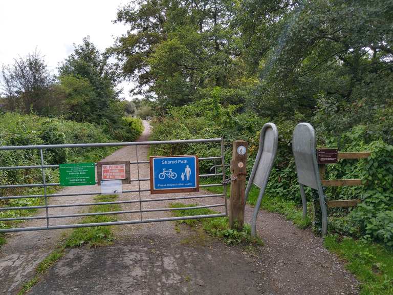 Ham Wall RSPB Nature Reserve Road Cycle Routes and Map | Komoot