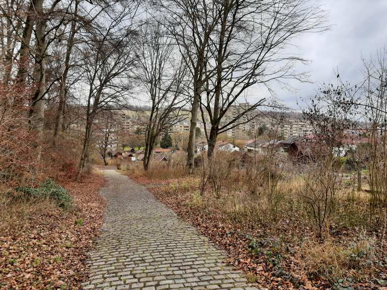 Pflastersteinweg: Wanderungen und Rundwege | komoot