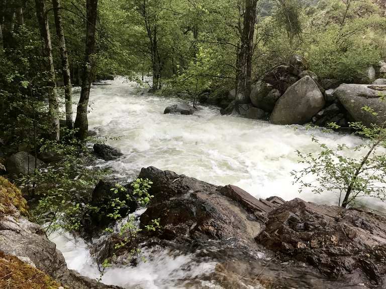 Lady Bug Trail — Kings Canyon & Sequoia National Park | hike | Komoot