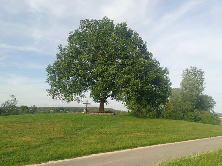 Brücke zur Vogelinsel – Vogelinsel im Altmühlsee Runde von Gunzenhausen ...