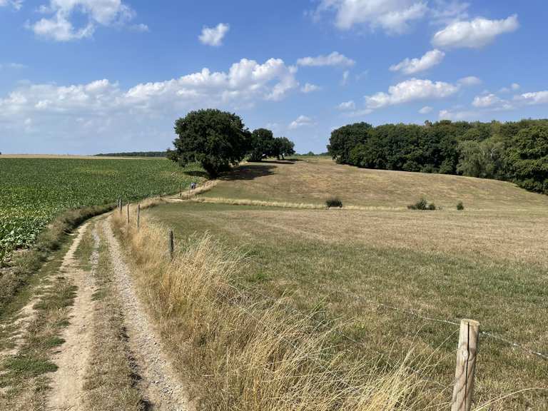 Route de VTT de Gulpen dans le Limbourg méridional | sortie à VTT | Komoot