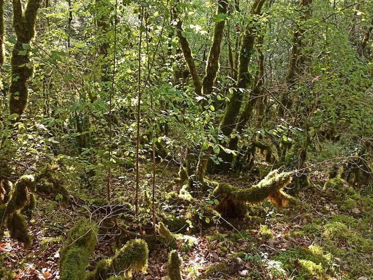 L'igue de Crégols. Routes for Walking and Hiking | Komoot