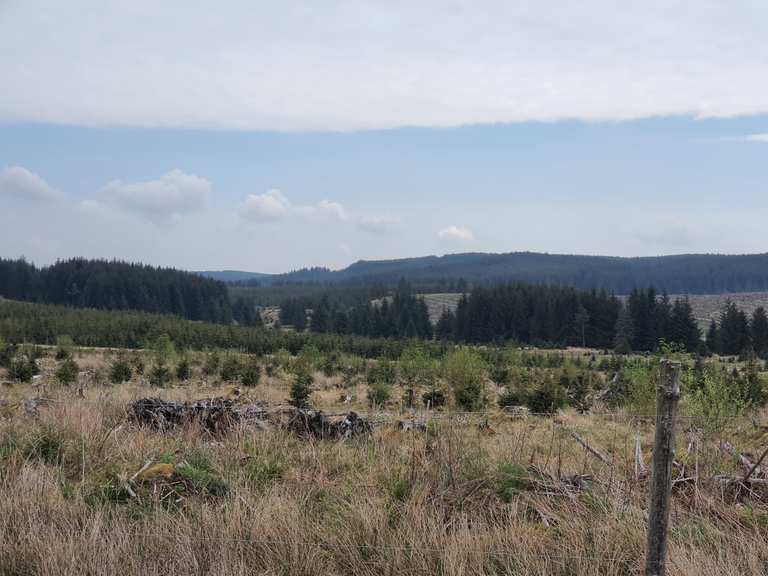Wark Forest loop from Stonehaugh — Northumberland National Park ...