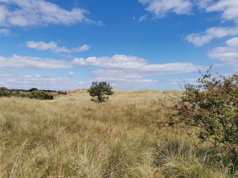 Curracloe Beach: Wanderungen und Rundwege | komoot