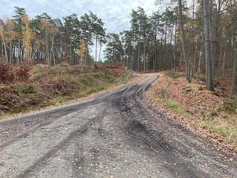 Überlegungen zu Przebrno : Radtouren und Radwege | komoot