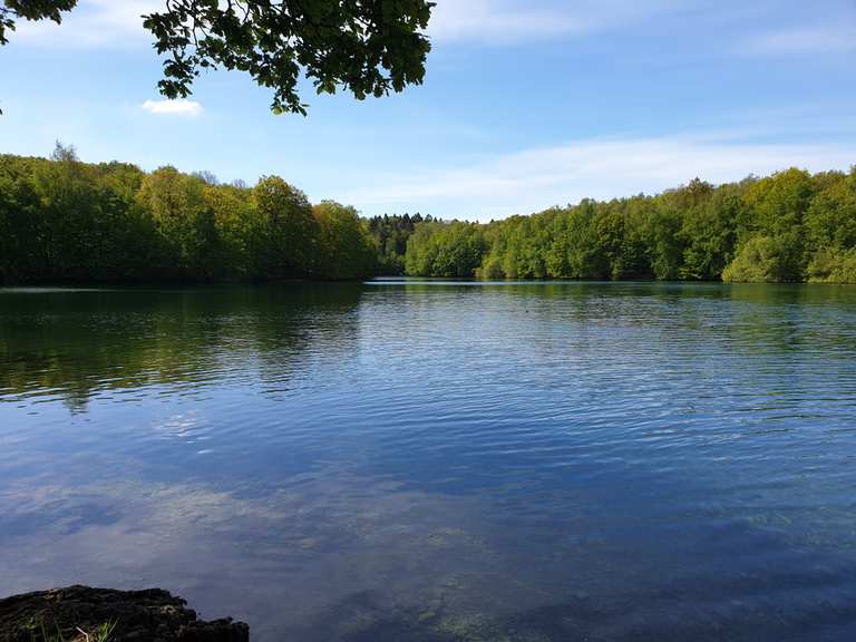 Dans le bois du Grand Oupia - Itinéraires de rando et marche | Komoot