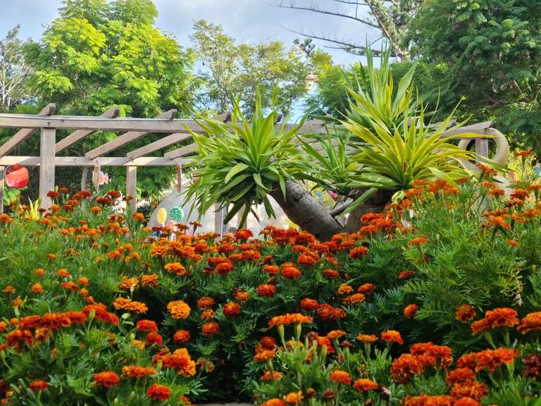 Villa Rundle Gardens: Wanderungen und Rundwege | komoot