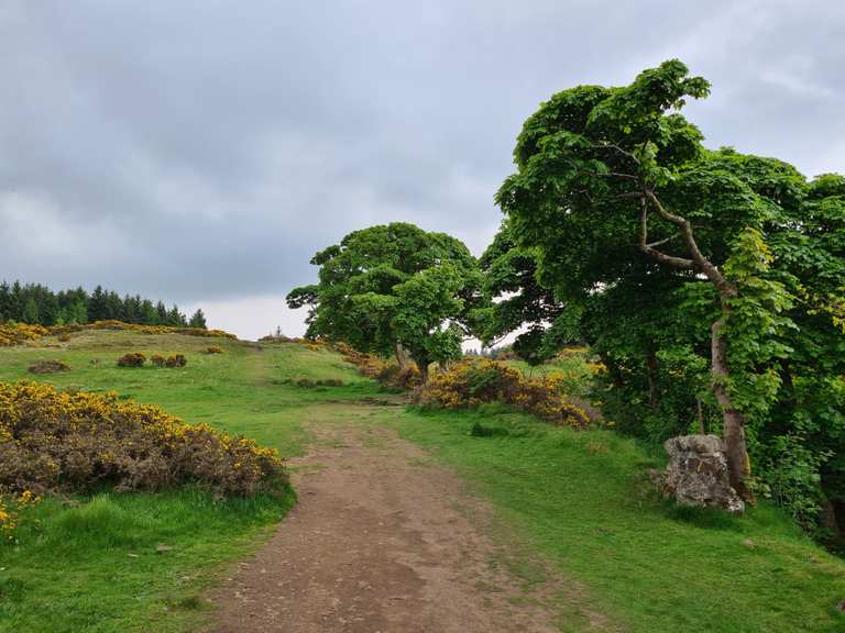 Gleniffer Braes Country Park loop | mountain bike ride | Komoot