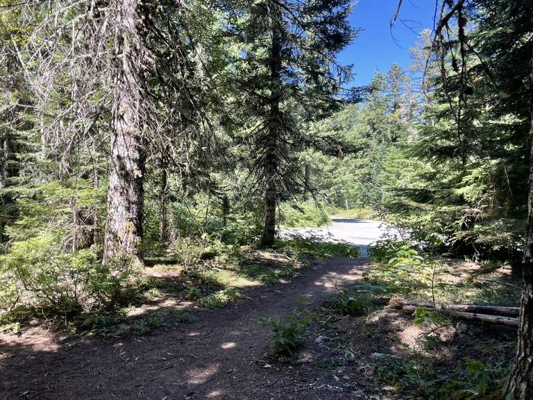 Lolo Pass Trailhead: Wanderungen und Rundwege | komoot