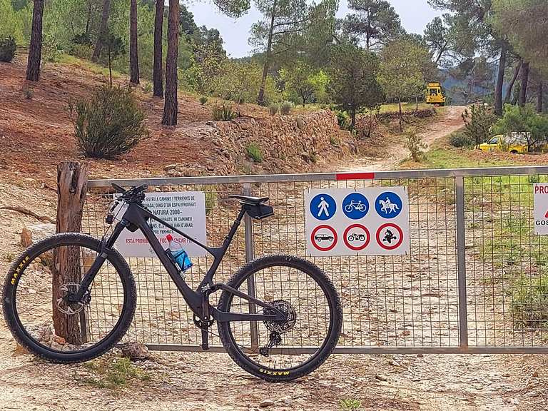 Rafal Trobat Trail Mountain Bike Trails & Tracks | Komoot