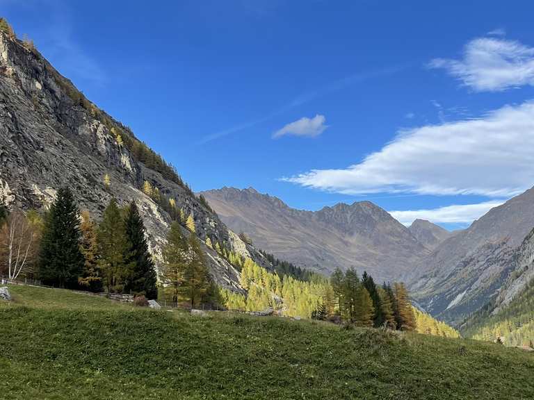 Giardino Alpino Paradisia – Cascata Itinerario ad anello da Cogne ...
