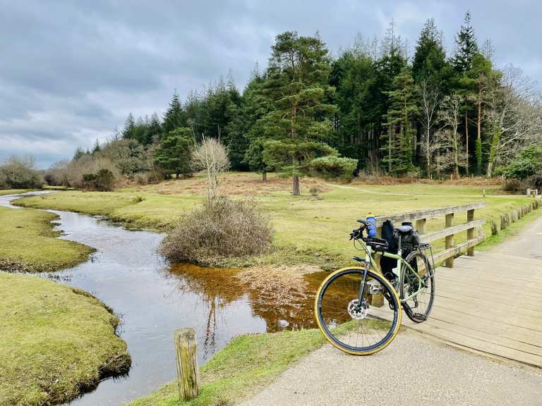 Castleman’s Corkscrew and Linford Bottom — New Forest trails | gravel ...