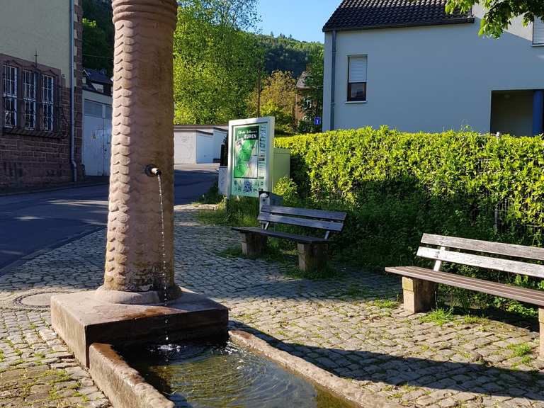 Brunnen Trier -Euren: Mountainbike-Touren und -Trails | komoot