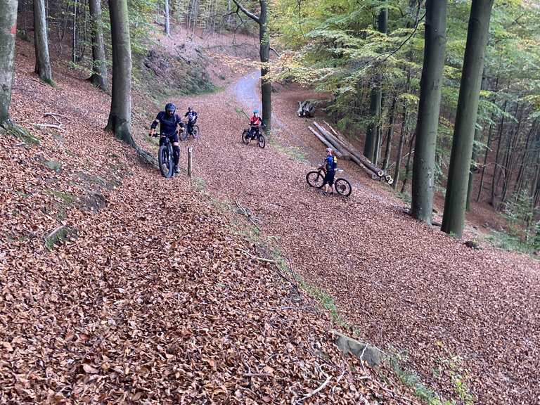 Uphill Trail der MTB10 - Mountain Bike Trails & Tracks | Komoot