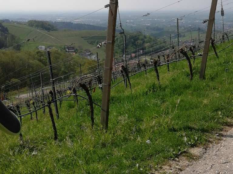 Blick zum Rheingraben: Wanderungen und Rundwege | komoot