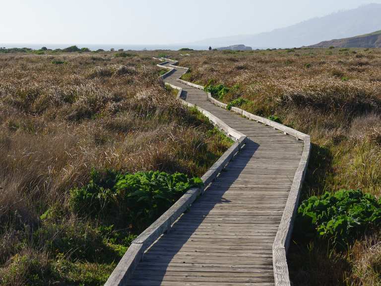 Shell Beach to Blind Beach via Kortum Trail — Sonoma Coast State Park ...
