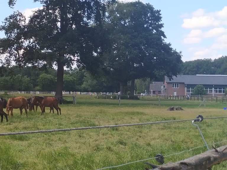Gut Berl : Radtouren und Radwege | komoot
