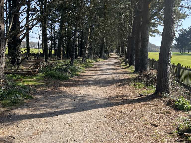 Carn Brea, the Great Flat Lode Trail & Tehidy Woods loop from Portreath ...