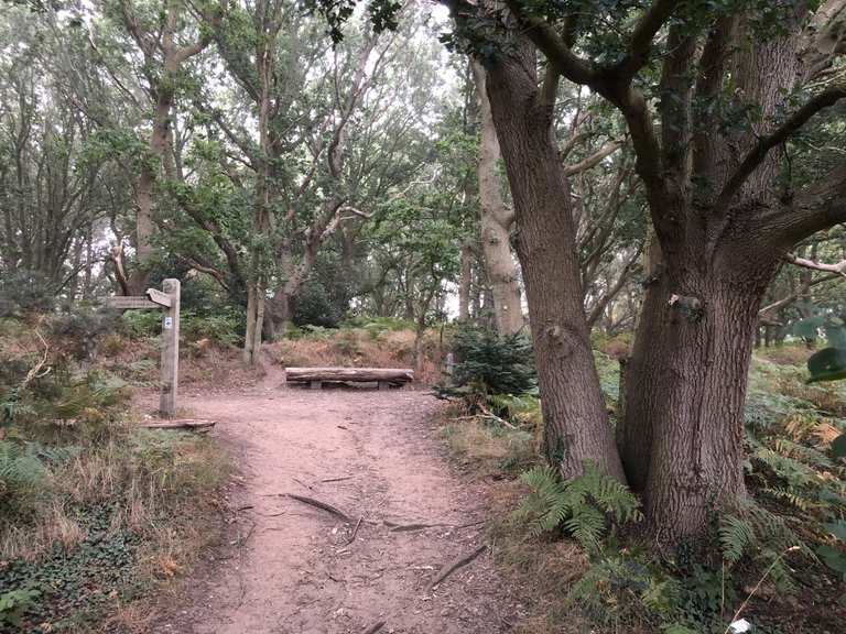 Rezerwat przyrody Snape Warren – trasy piesze | Komoot