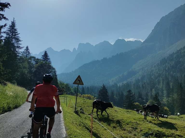MTB. RIFUGIO CAMPIONE Mountain Bike Trails & Tracks | Komoot