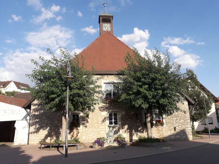 Kelter Criesbach: Wanderungen und Rundwege | komoot