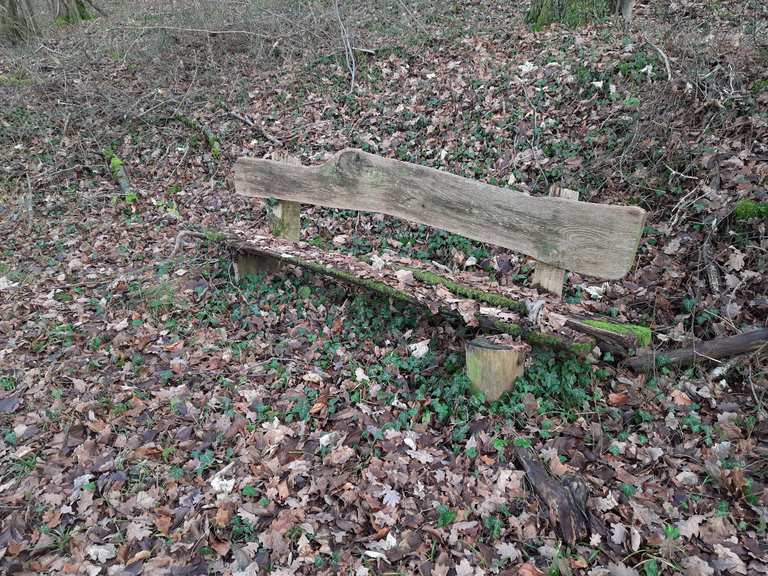 Iptingen Reserve Bench Routes for Walking and Hiking | Komoot