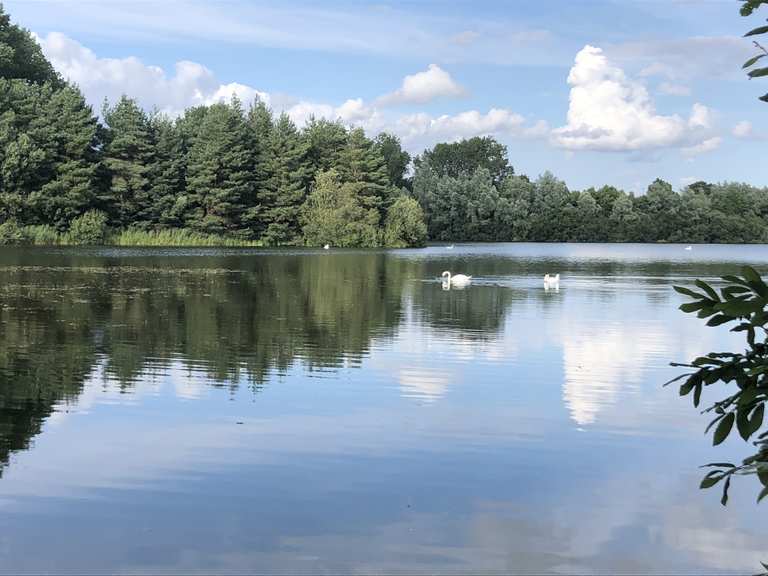Lynford Water & Lynford Arboretum loop | hike | Komoot