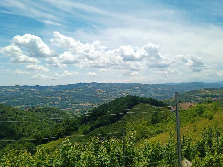 Sentiero tra vigneti e boschi del Loazzolo DOC | escursione | komoot