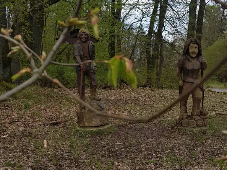 Parkwald Segendorf: Wanderungen und Rundwege | komoot