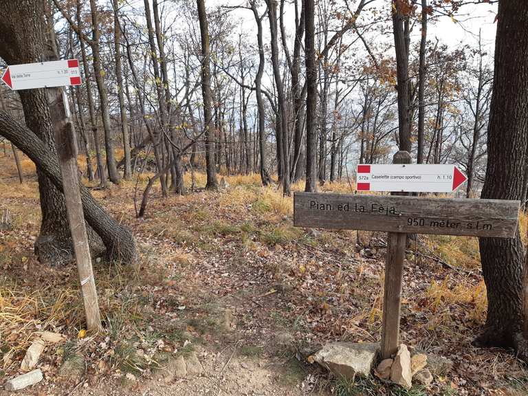 Partenza sentiero x Musinè – Monte Musine Itinerario ad anello da ...