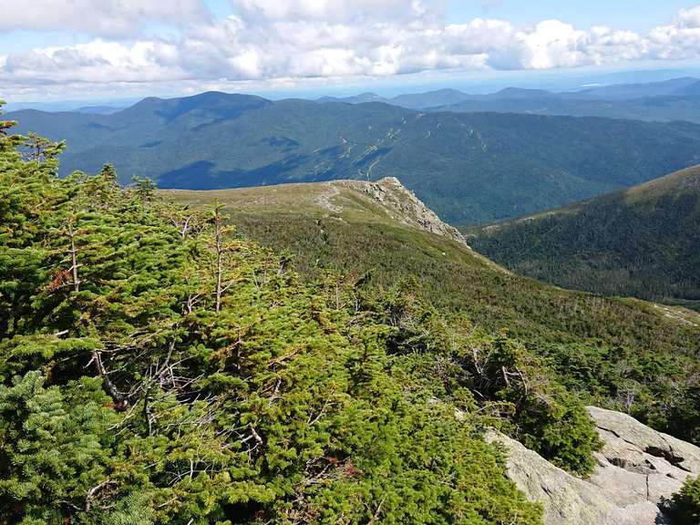 Mount Washington via the Ammonoosuc Ravine and Jewell Trail loop ...