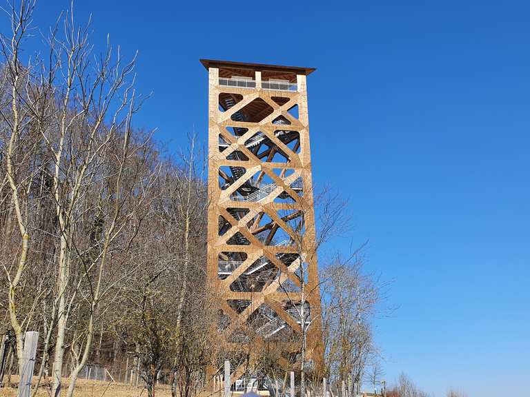 Turm Hasenberg Routes for Walking and Hiking | Komoot