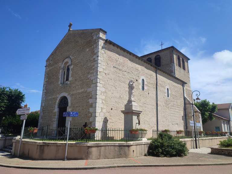 Les étangs de la Dombes — loop in the réserve départementale de la ...