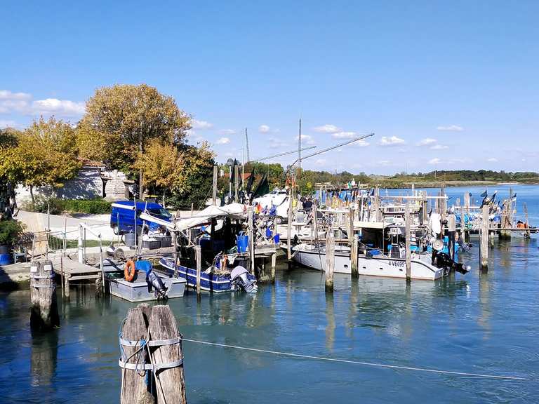 Foce fiume Piave : Radtouren und Radwege | komoot