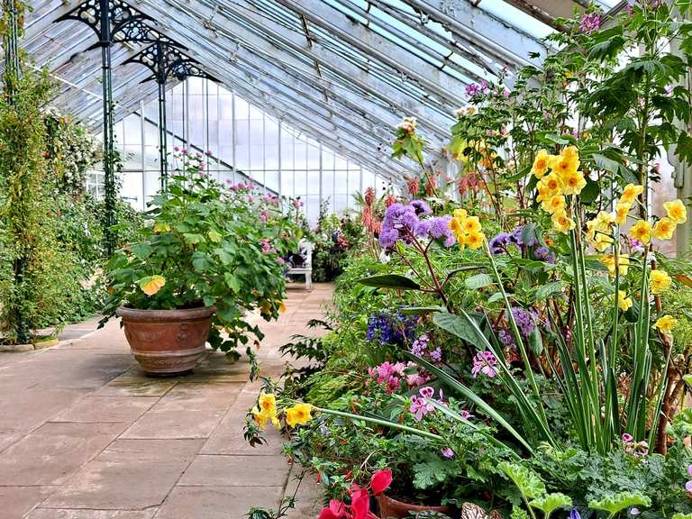 Wallington Hall and River Wansbeck loop | hike | Komoot