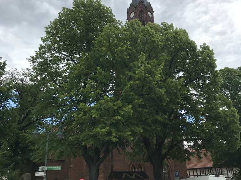 St.-Martins-Kirche Schlieben : Radtouren und Radwege | komoot