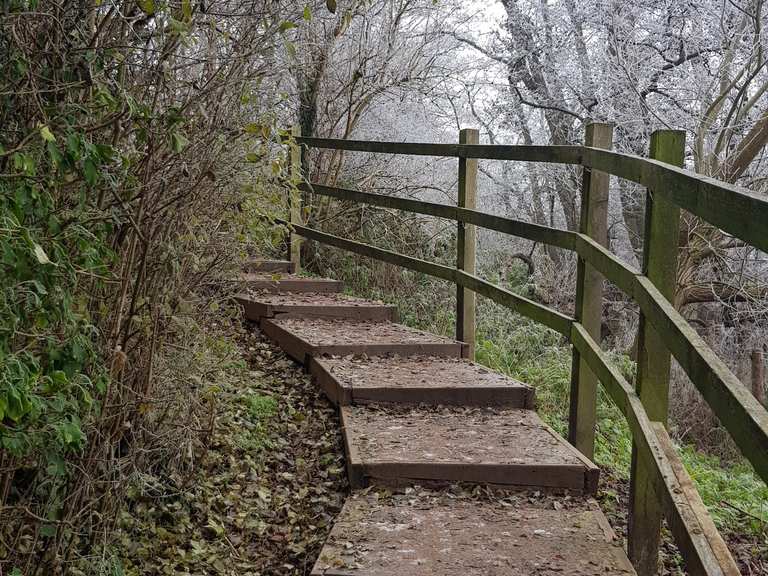 River Lee Navigation view Routes for Walking and Hiking | Komoot
